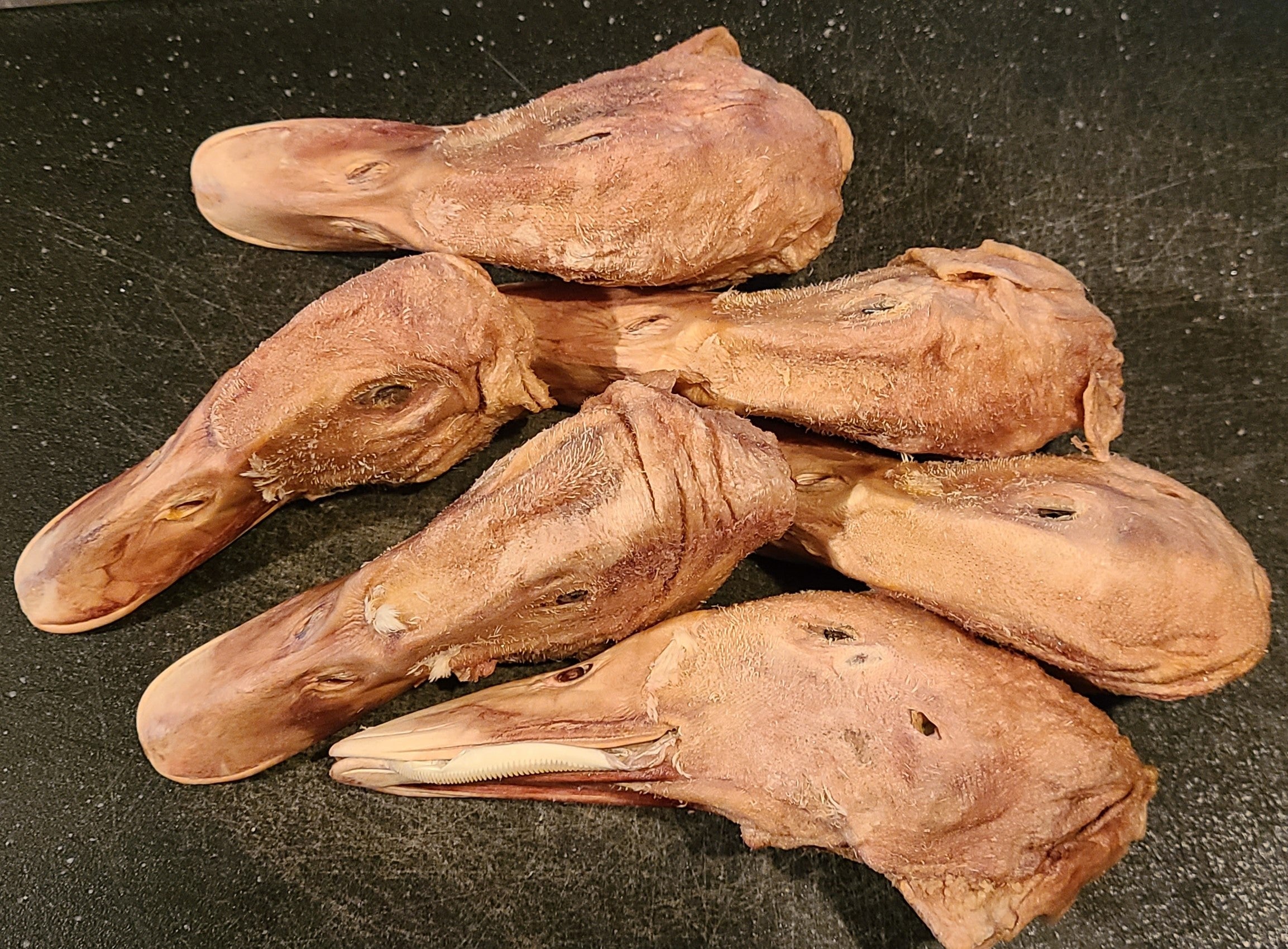 Duck Heads - Bag of 5 | Maverick and Kolby's